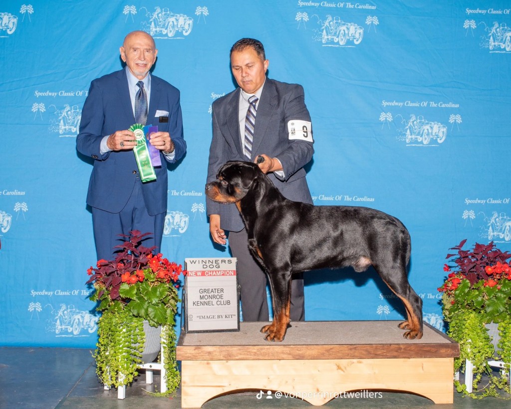 Von Perrin Rottweilers – World Class Rottweilers